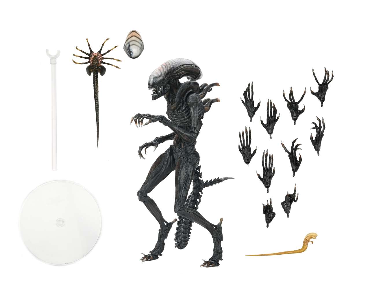Alien Romulus Scorched Xenomorph Neca Ultimate Figure GeekZona.ru